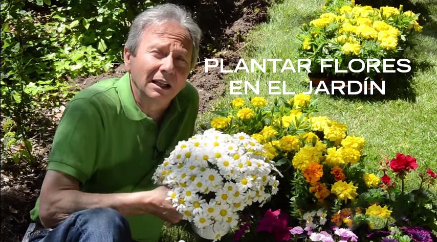 PLANTAR FLORES EN EL JARDIN – Blog de jardinería y paisajismo